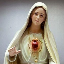 The Immaculate Heart of Mary: A Journey through Love, Faith, and ...