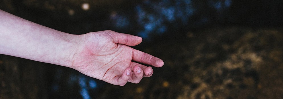 Evangelio del día 15 de junio de 2019 y comentario - dominicos