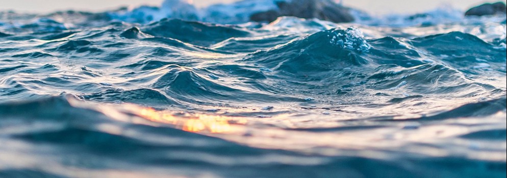 Evangelio del día 9 de enero de 2026 y comentario - dominicos