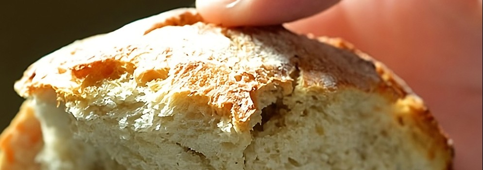 Evangelio del día 8 de enero de 2026 y comentario - dominicos