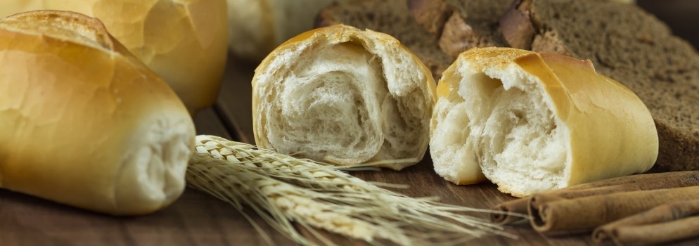 Evangelio del día 5 de agosto de 2024 y comentario - dominicos