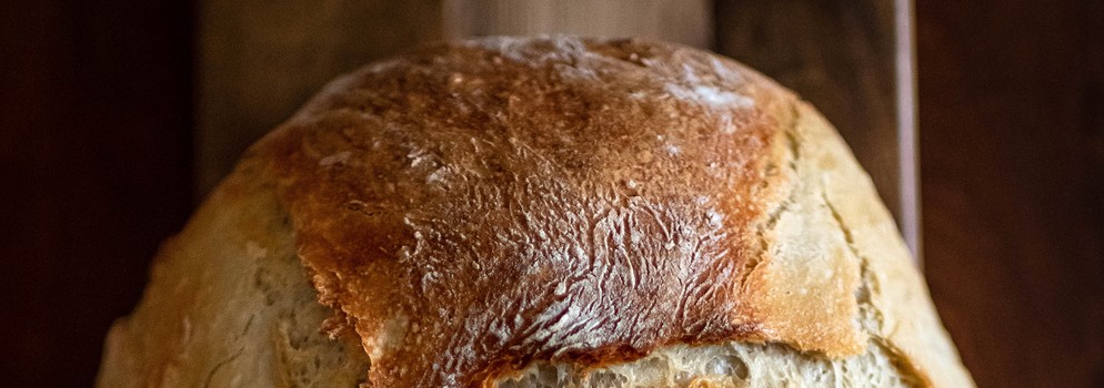 Evangelio del domingo y lecturas, 23 de abril - dominicos