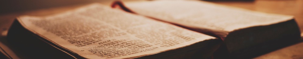 Histórico del evangelio del día - dominicos